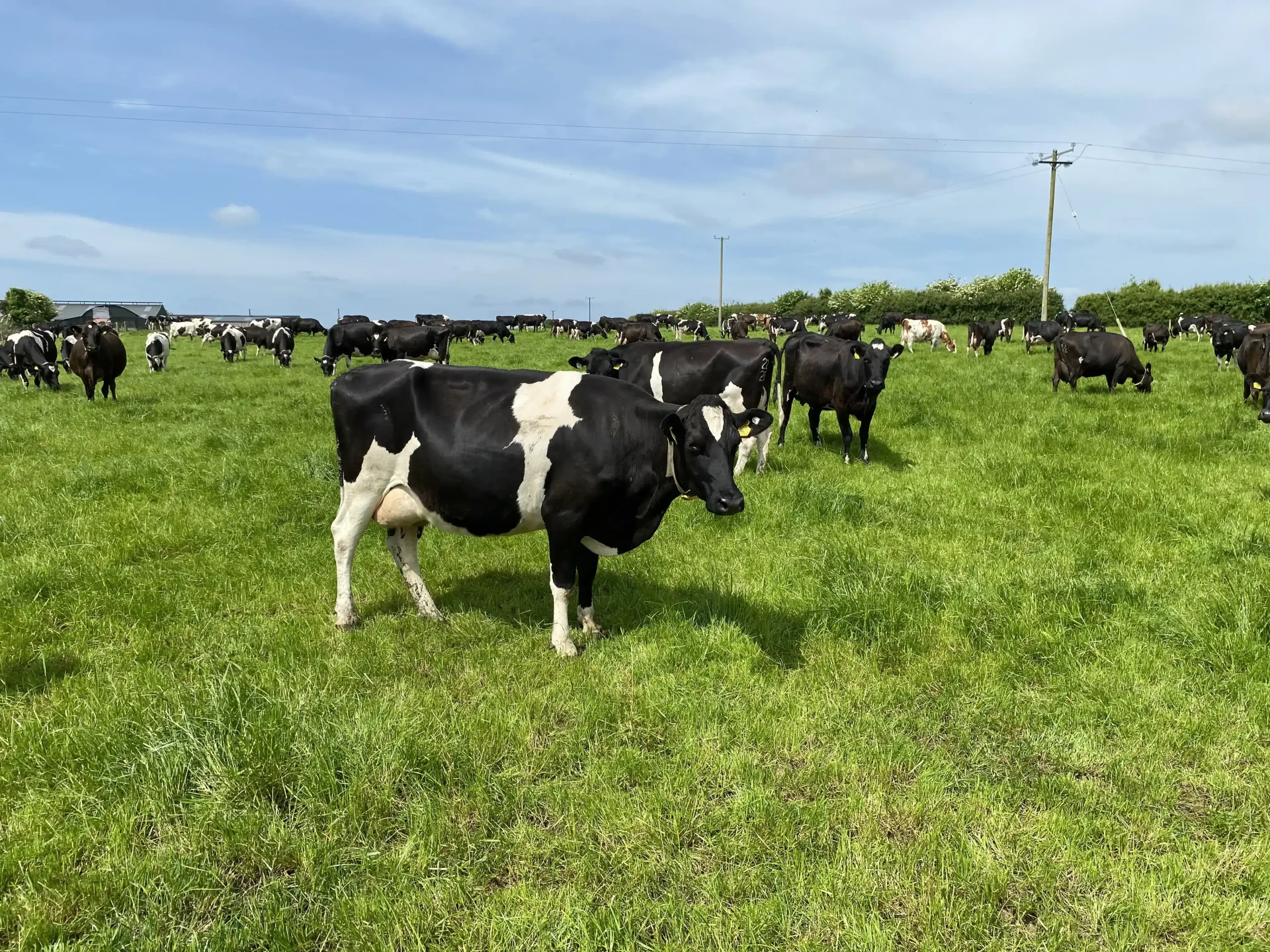 Farm Tax Guide ¦ Farm Tax ¦ CAP Reform Programme